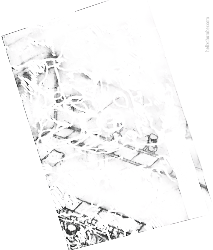 Capsule Monsters – Helix Chamber